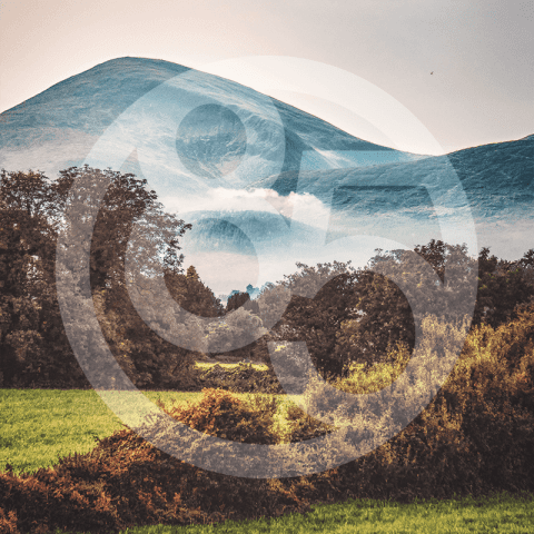 Eight5Zero Group | Enriching the Lives of our Local Community